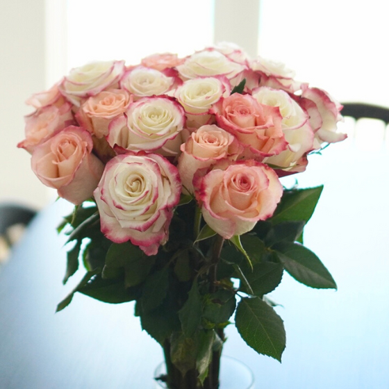 Rose Farmers | Farm Fresh Roses | Buy Quality Roses Direct